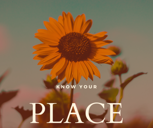 Know your place - Coach Dale